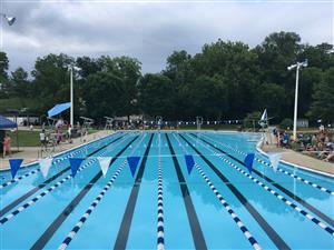 Wyomissing Parks and Recreation: Swimnastics